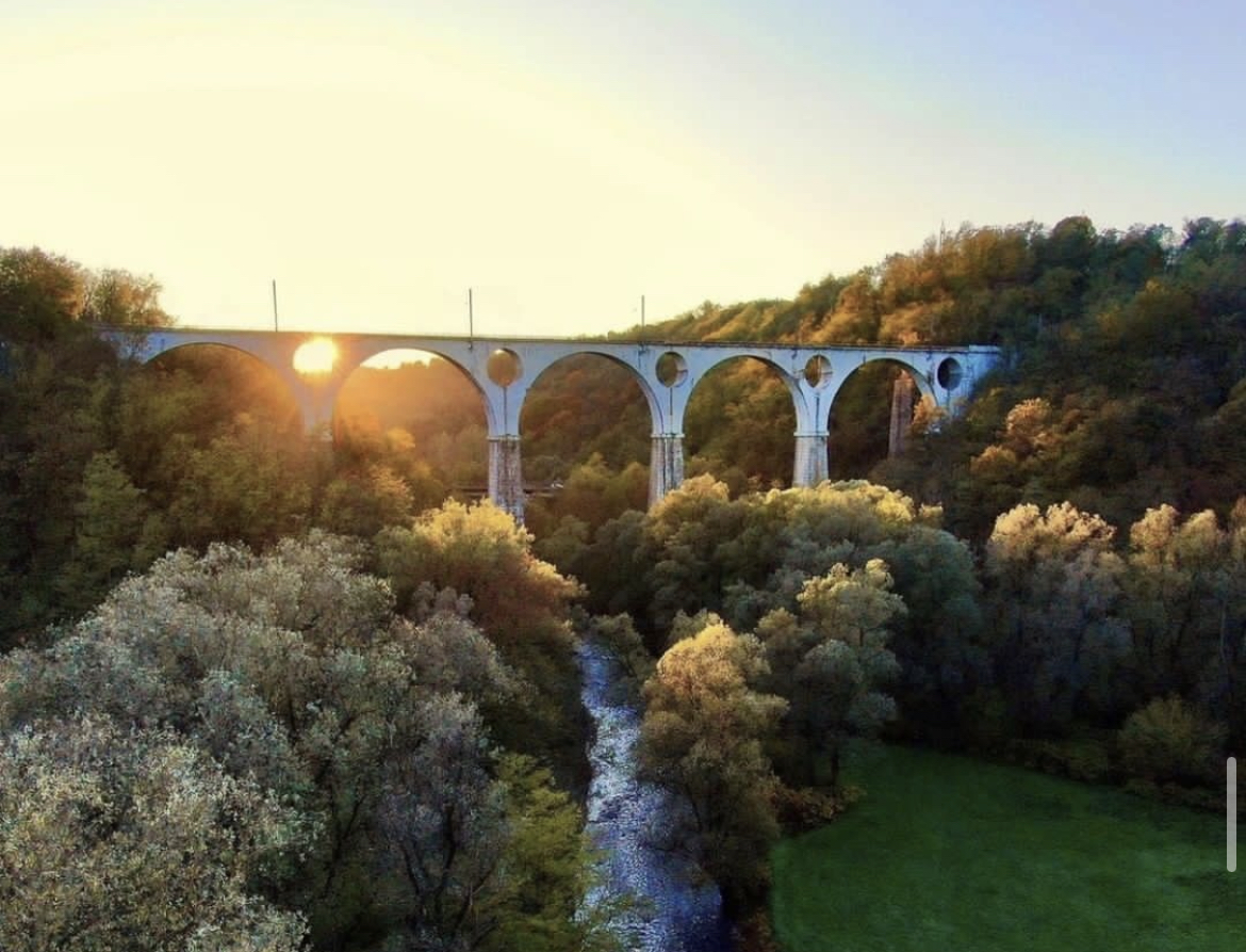 La foto del giorno - Malnate - La Provincia Di Varese