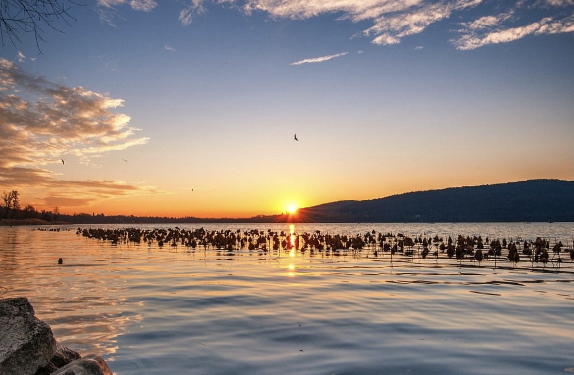 La foto del giorno - Varano Borghi - La Provincia Di Varese