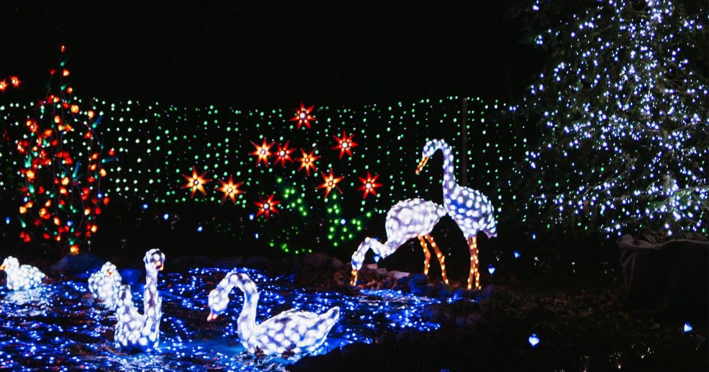 Le "Lucine di Natale" tornano ad illuminare Leggiuno dal 3 dicembre all ...