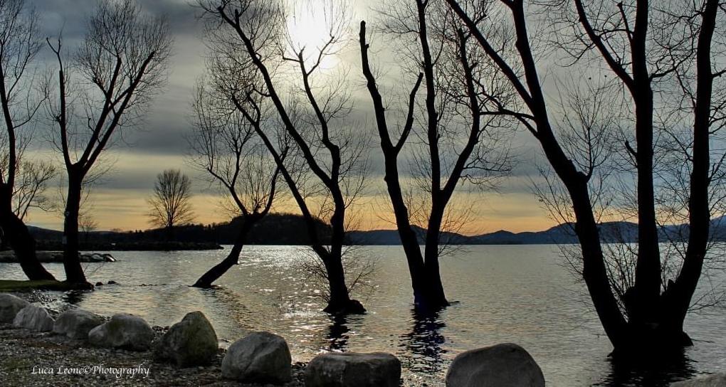 Lago Maggiore - La Provincia Di Varese
