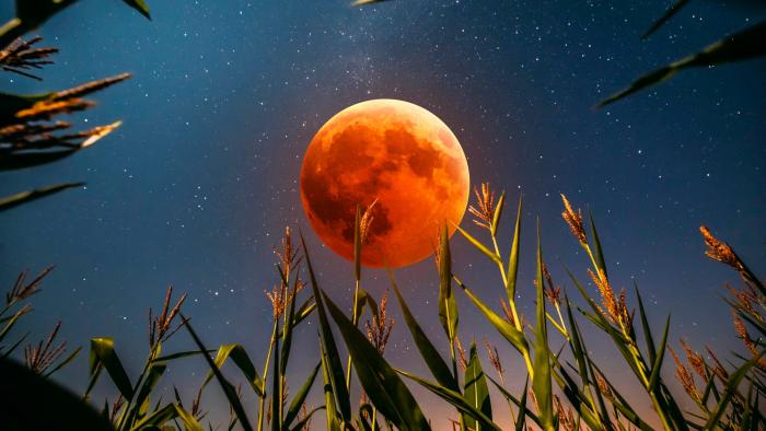 Escursione serale sul Monte Chiusarella per ammirare la “Luna piena del ...