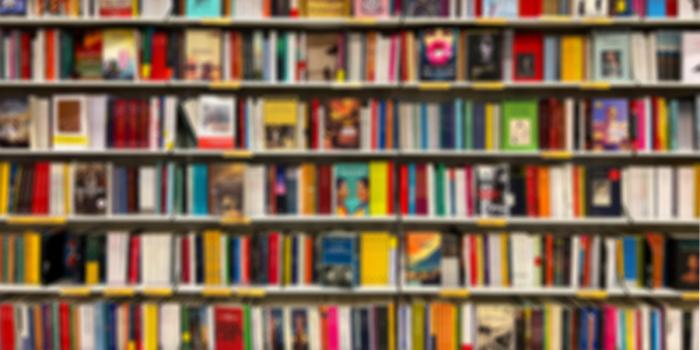 Nuovi libri e cultura: 12.600 euro alla biblioteca di Angera - La ...